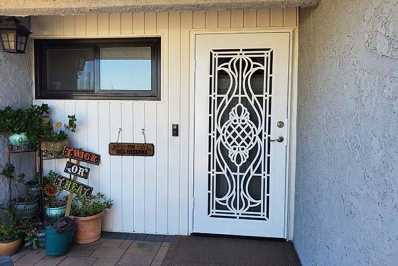 Security Screen Doors Archives - California Security Screens, Inc.